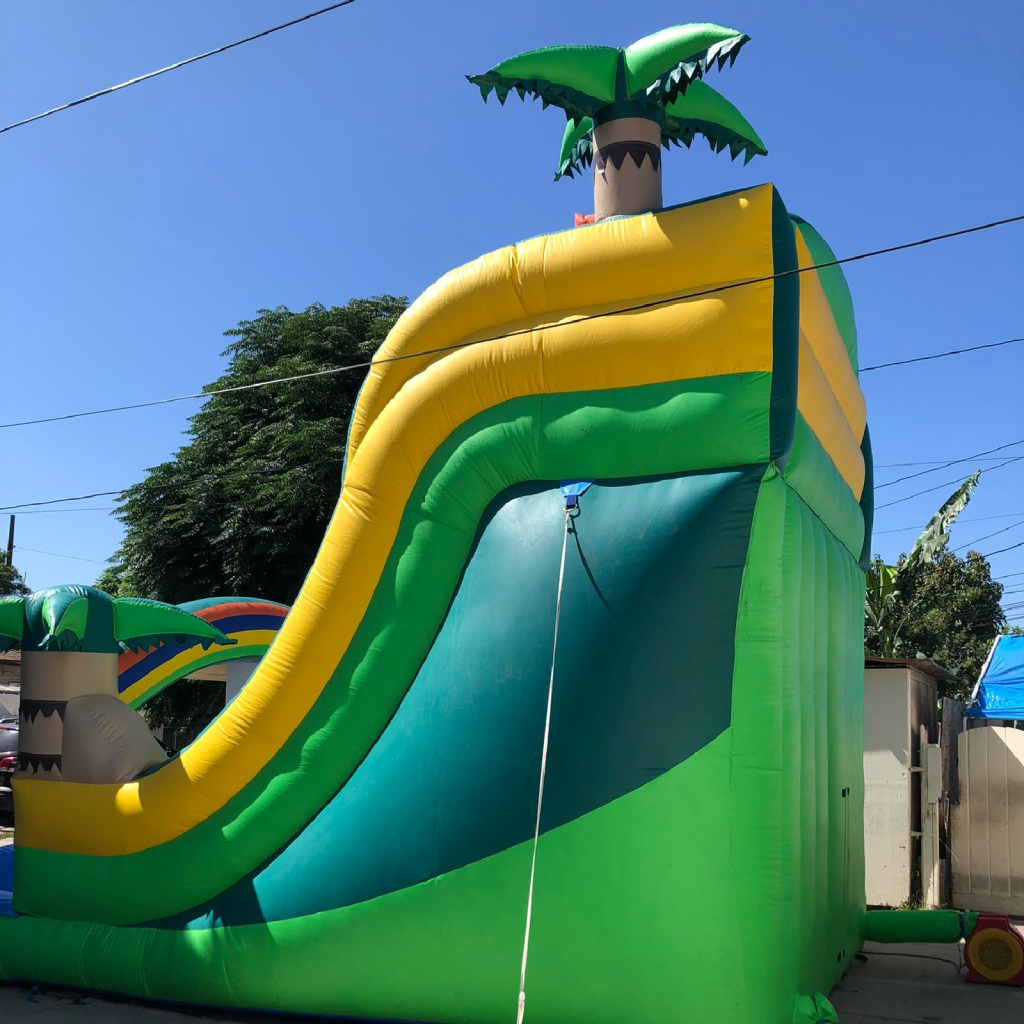 Sunny Rainbow Double Lane Water Slide – Jumper Fun Party Rentals